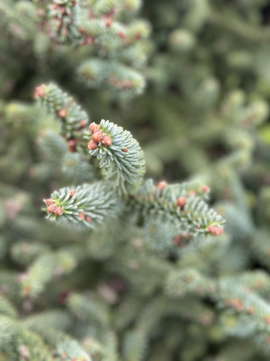 BC Naklo - Biotehniški center Naklo