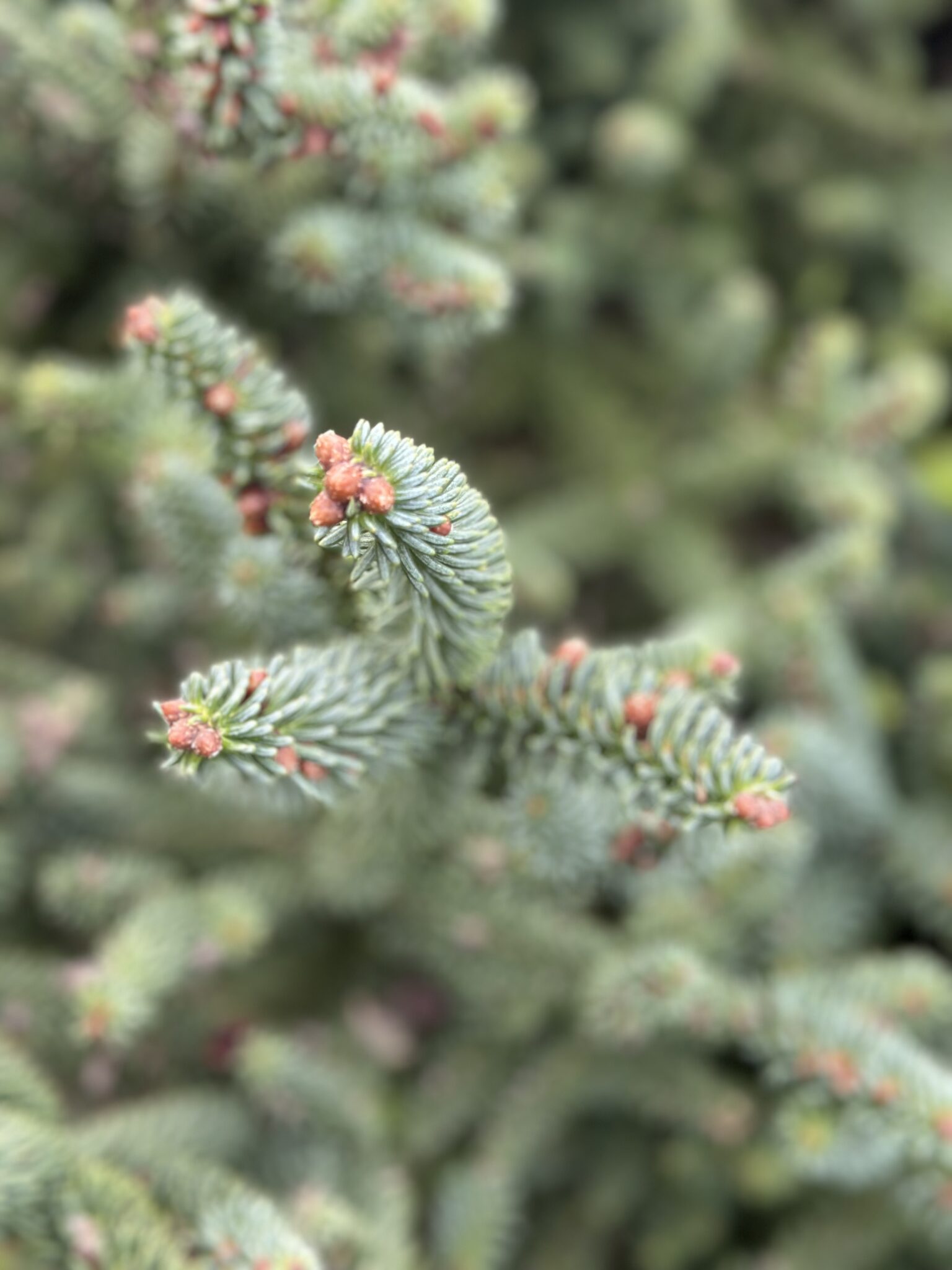 BC Naklo - Biotehniški center Naklo